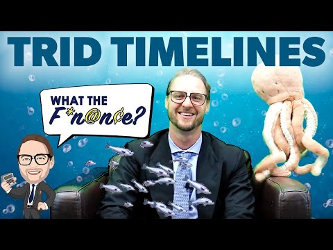 What The Finance - Trid Timelines