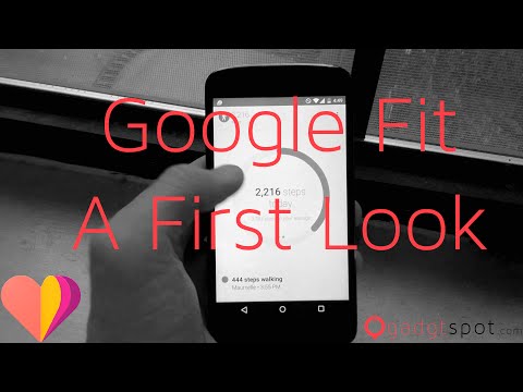 Google Fit: A First Look