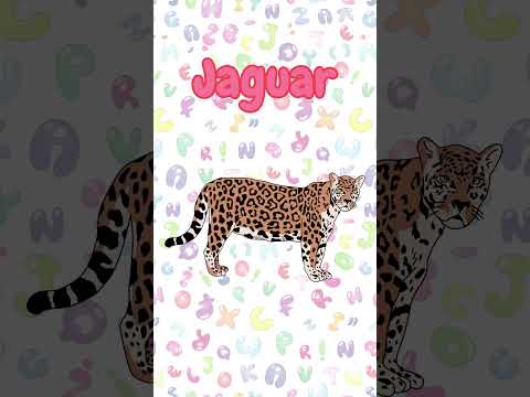 Animals beginning with J