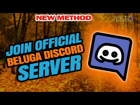 How to Join Official Beluga Discord Server 2025