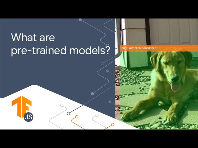 What is Pre-trained Models | AI Basics | AI Online Course
