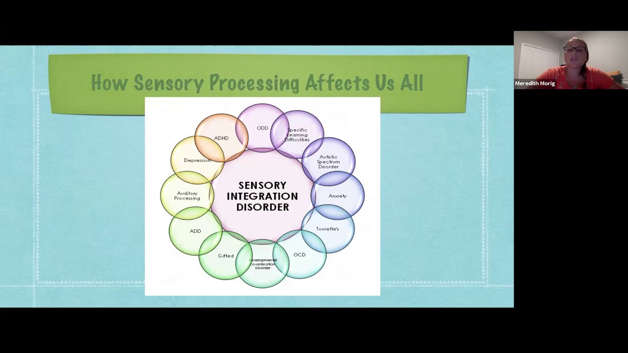 Introduction to sensory processing SPD