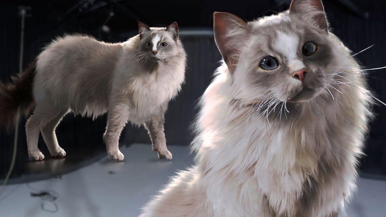 Creating Creature Hair & Fur Grooms in Houdini With Kristin Farrensteiner