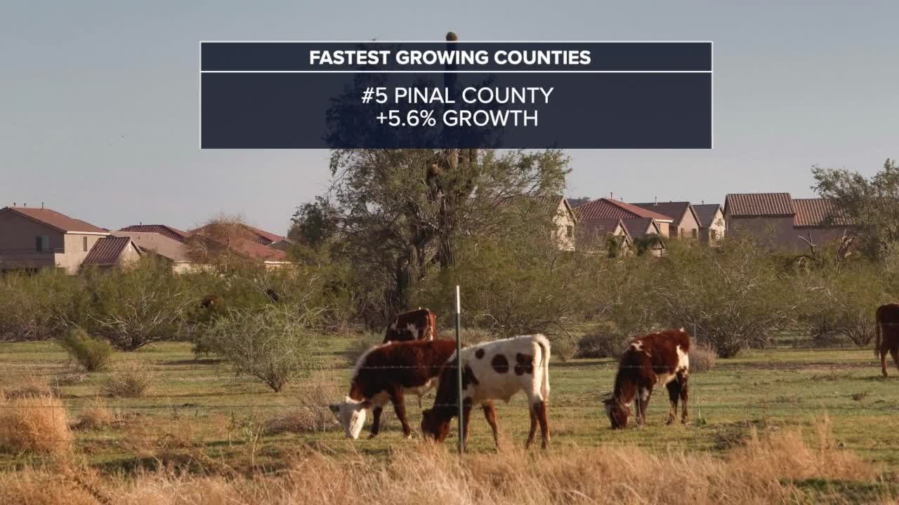 Maricopa County among nation's biggest population growth in 2024, census figures show