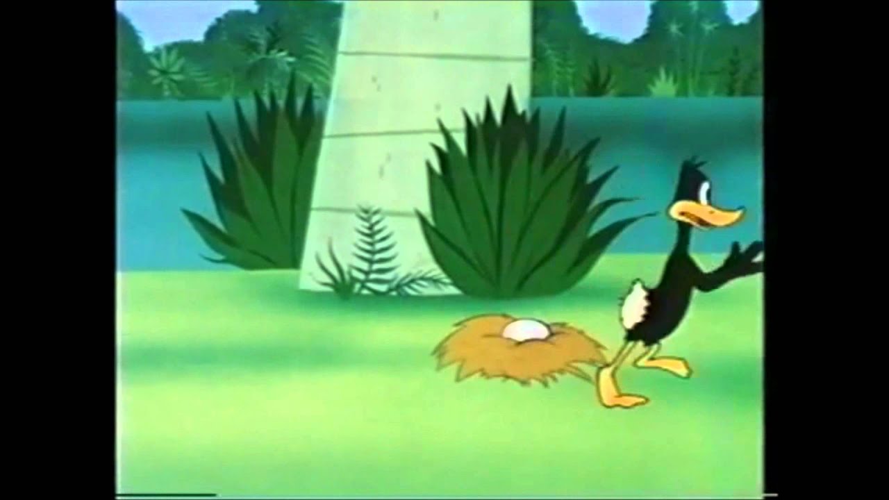 SitOnThatEGG.wmv