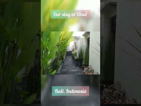 Private pool villa @Ubud, Bali #hotel #bali #indonesia #pool villa