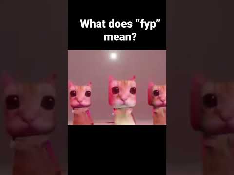 What does fyp mean? #memes #funny #goofy