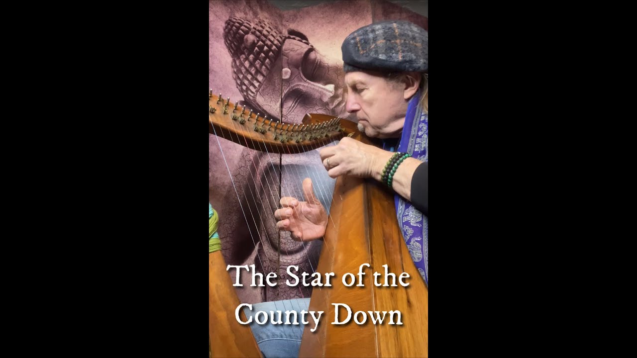 Hire Jay Michaels Harp - Harpist in East Freetown, MA | GigSalad