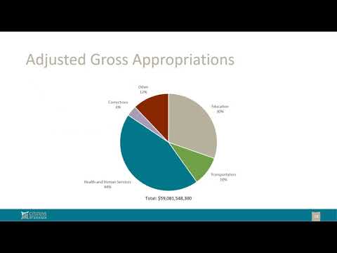Webinar - Analysis of Governor Whitmer's FY2020 Budget Proposal