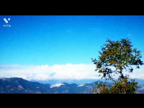 The View dehradun "Mussoorie"