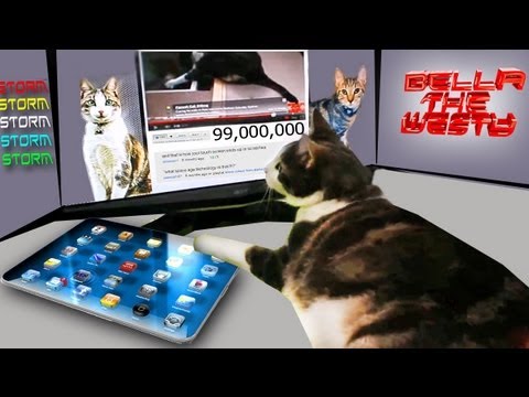 Smorgasbord Afternoon Video – Sally’s Favourites – Gone Fishing…Cat and ...