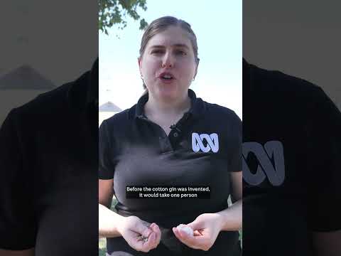 How is cotton turned into clothing? 👕🧶 | ABC Australia