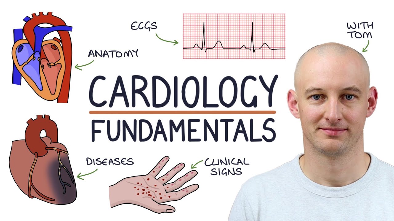 Learn Cardiology in One Video - Fundamentals