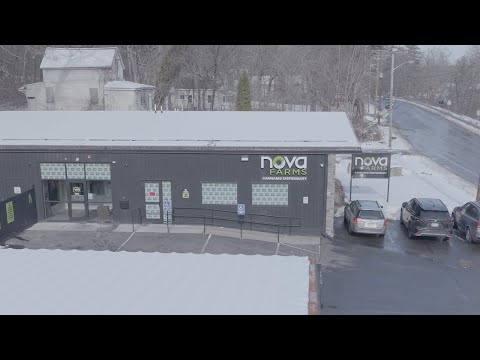 Nova Farms x Flowhub Customer Story