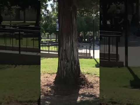 Fresno State || 09/29/23