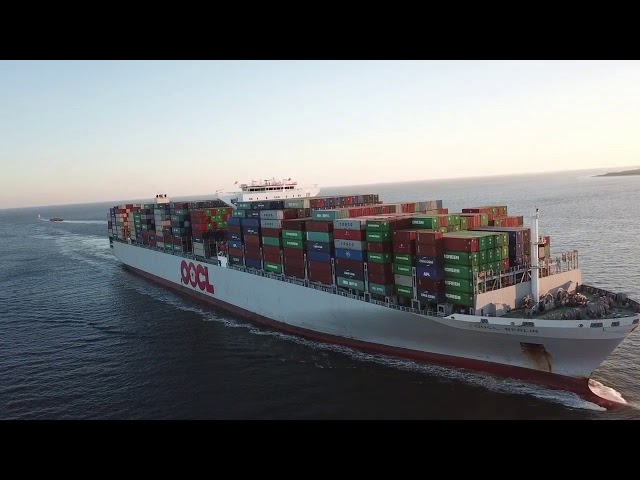 High Quality Storage & Shipping Containers | AWOL Containers