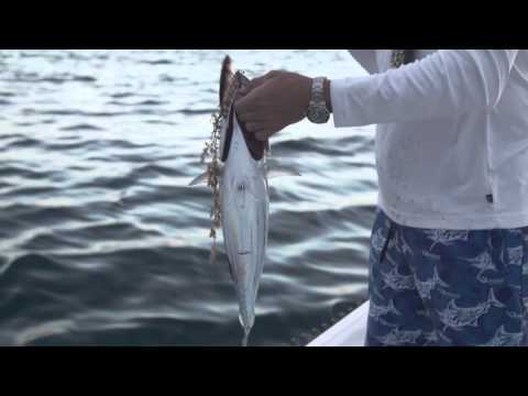 Reel Time Florida Sportsman - Miami Pelagics