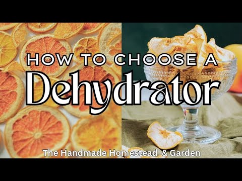 How to Choose a Dehydrator | What Features Matter Most?