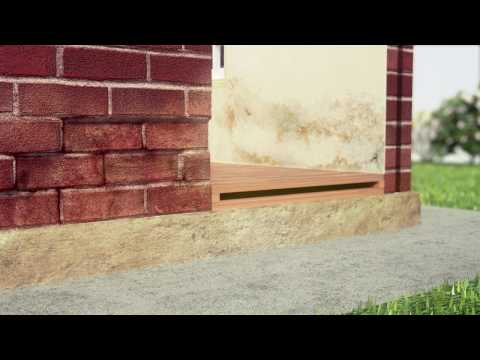 Salt Damp. What is it? How does it occur?