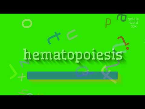 How to say "hematopoiesis"! (High Quality Voices)