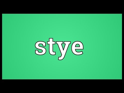 Stye Meaning