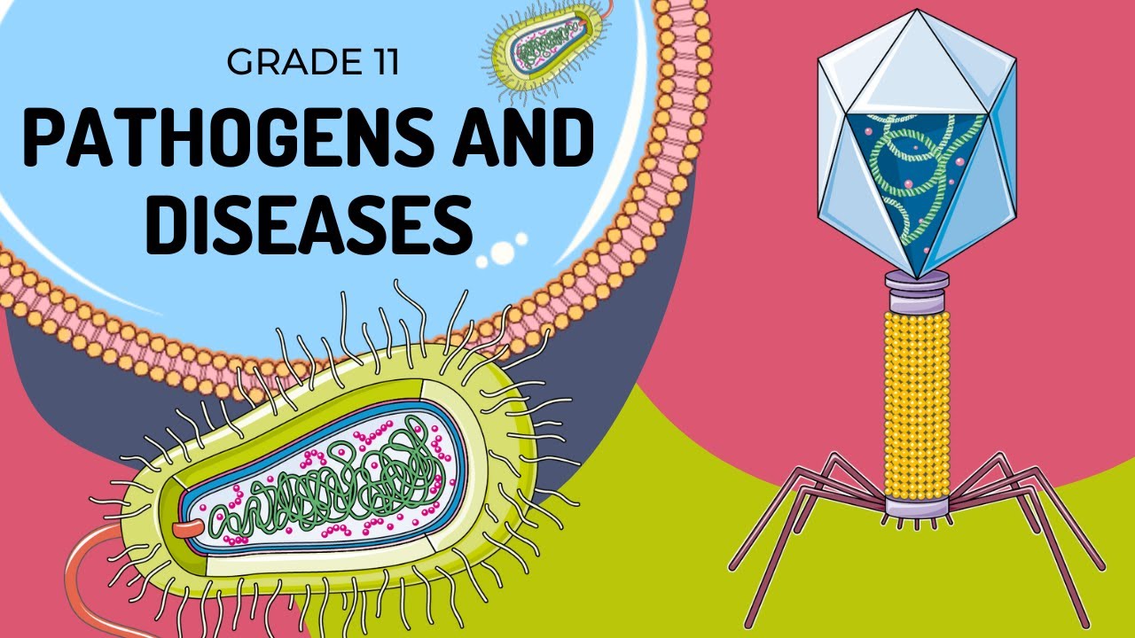 Understanding Pathogens and Disease Management | Galaxy.ai