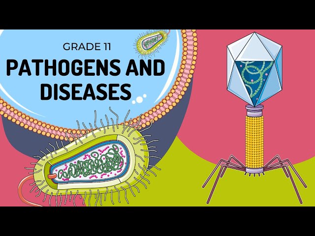 Understanding Pathogens and Disease Management | Galaxy