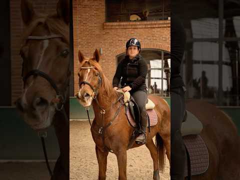 Warsztaty Horse&Joga dla Miłośników koni oraz Ferie Zimowe w Siodle! 🐎 #hotel #konie #joga