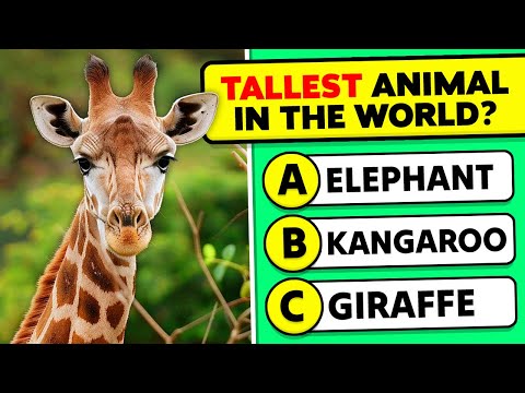 General Knowledge Questions About Animals! ???????????? Animals Knowledge Trivia Questions and Answers