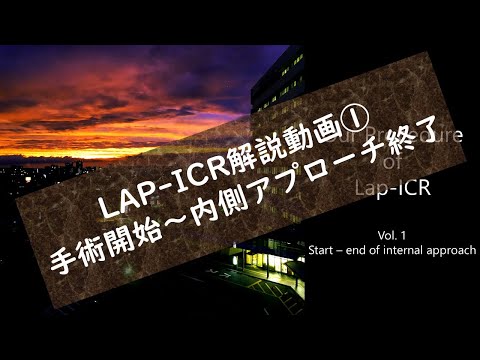 1) hIcW-LAPICR1-SelNP381INJL