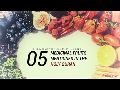 Fruits mentioned in Quran | 🕋 He is Allah, the One and Only | 🕋