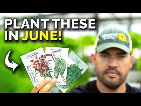 11 Crops You'd Be Silly Not To Plant in June!