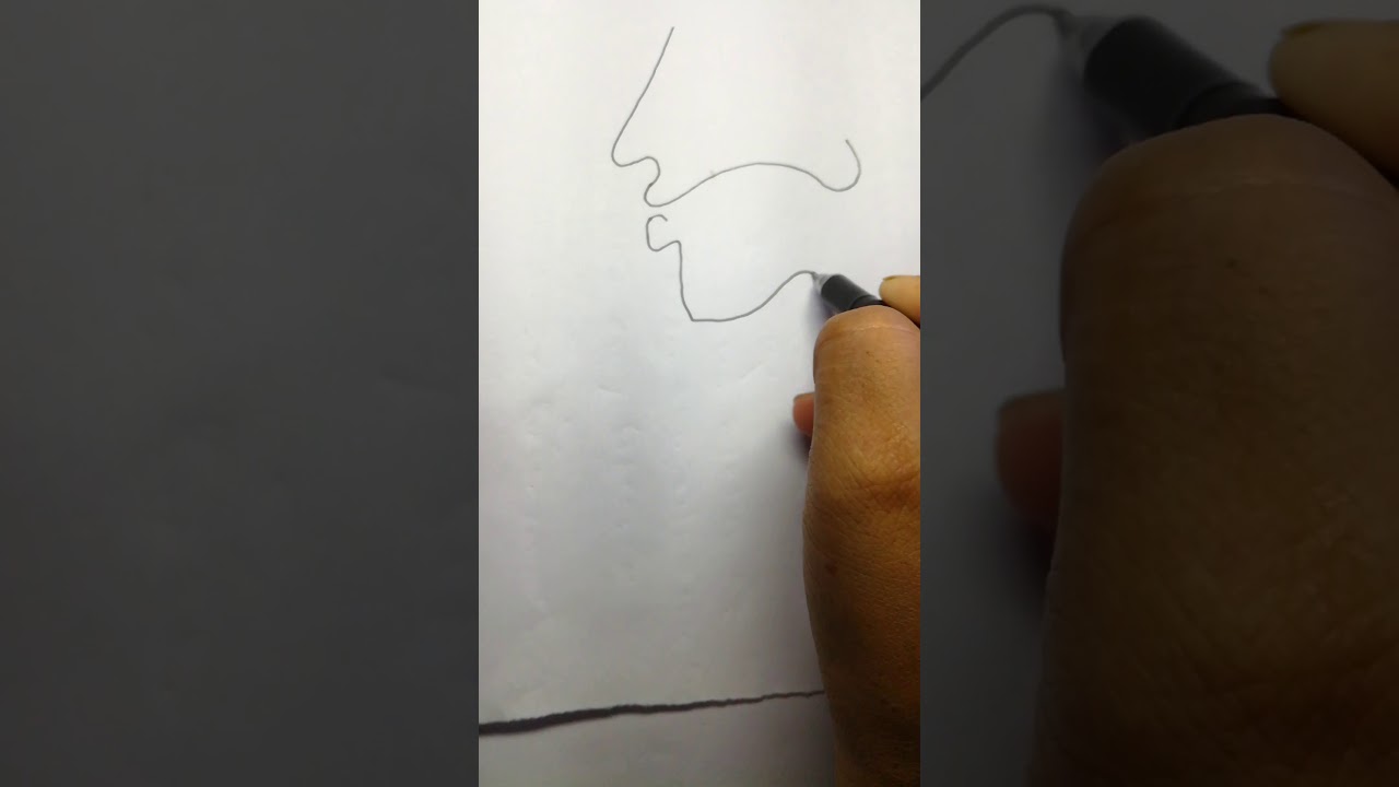 Drawing: Diagram of Organs of speech