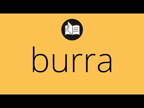 Que significa BURRA • burra SIGNIFICADO • burra DEFINICIÓN • Que es BURRA • Significado de BURRA