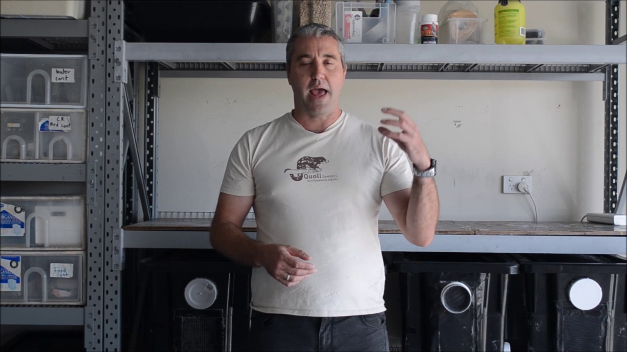 Lesson 1- Cricket Biology