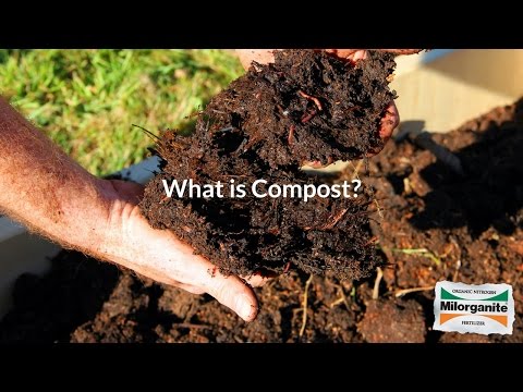 What is Compost?