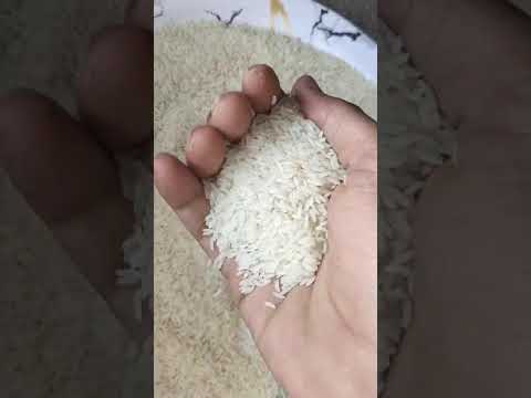 Best Quality Kolam Rice, Lachkari Kolam Rice prices, Suppliers ...