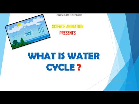What is Water Cycle? |Hydrological Cycle | Environmental Science | Science Animation.