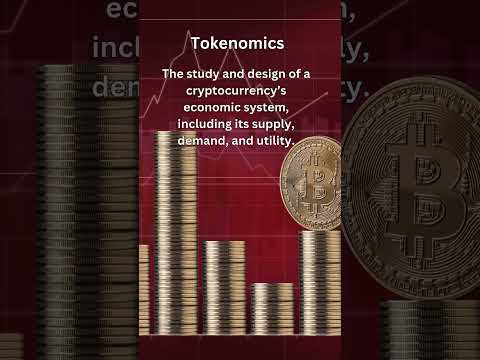 Tokenomics | Must-Know Cryptocurrency Terms Explained Simply