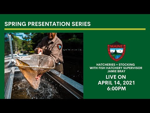 Hatcheries + Stocking with Fish Hatchery Supervisor Jamie Bray