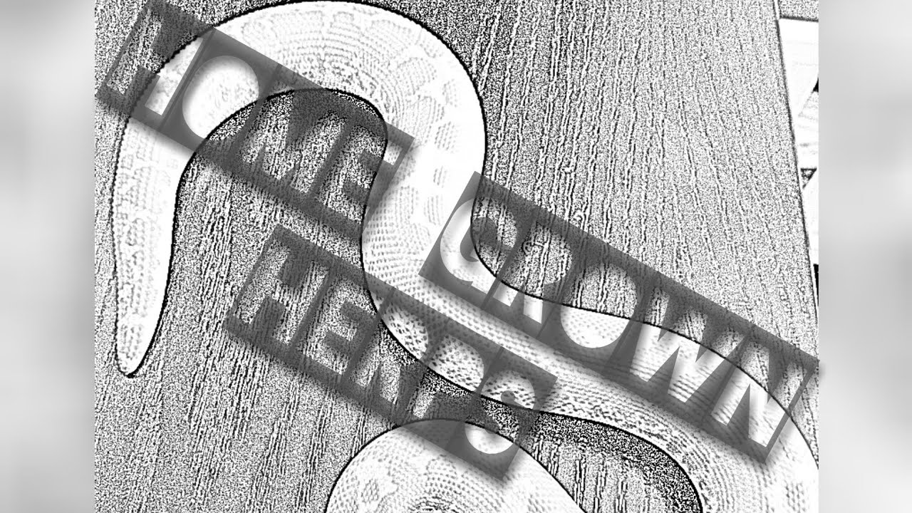 What to do for impaction? - Ball Pythons - MorphMarket Reptile Community