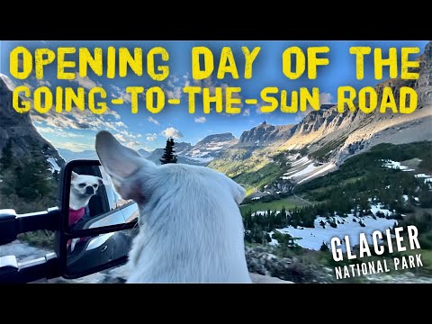 ๐ฑUnexpected Adventures on the Opening Day of the Going-to-the-Sun Road!! ๐๏ธโ๏ธ Ep. 24