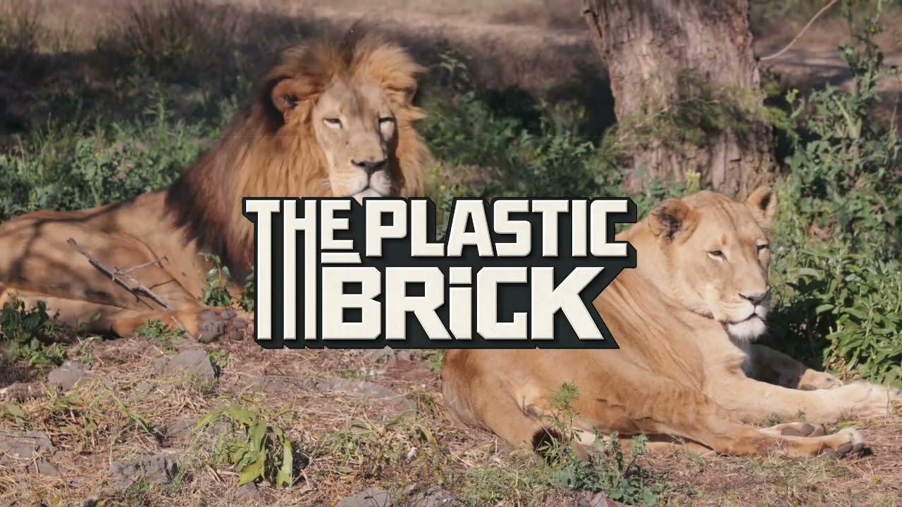 Homepage video