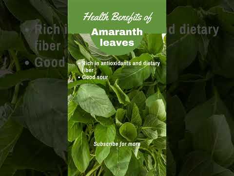 Health benefits of Amaranth Leaves