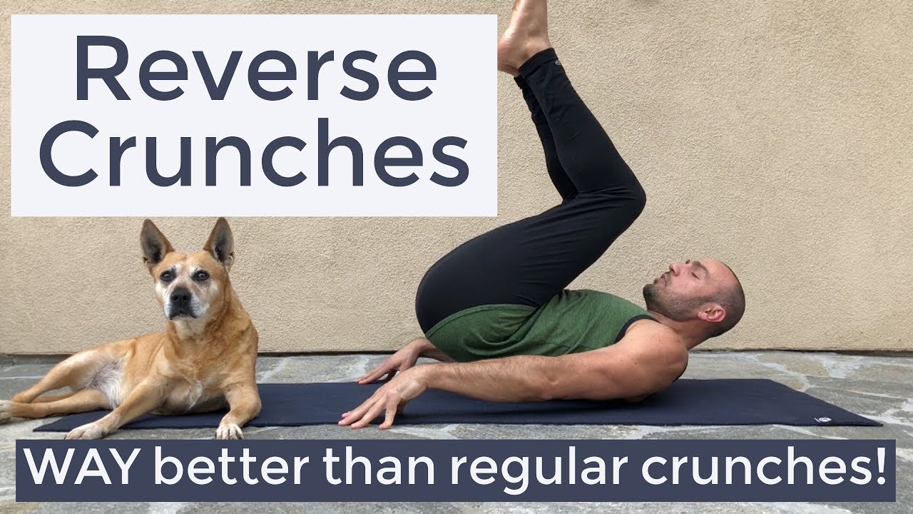 Workout for Abs and Core: Reverse Crunches with Antranik (Part 1)