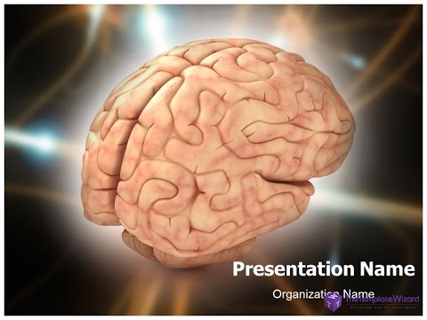 Brain PowerPoint Presentation Template - TheTemplateWizard.com
