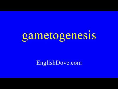 How to pronounce gametogenesis in American English