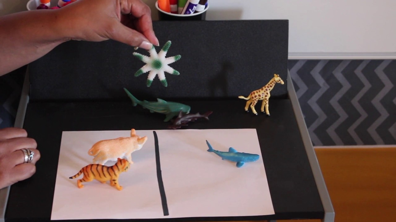 Math: Animal Sorting