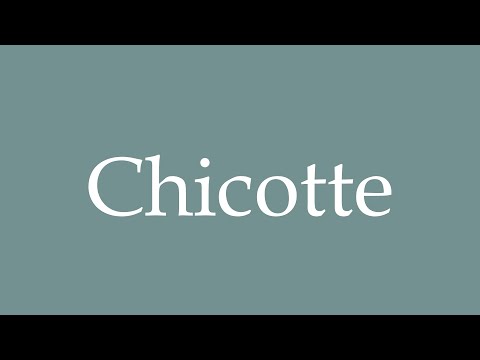 How to Pronounce ''Chicotte'' Correctly in French
