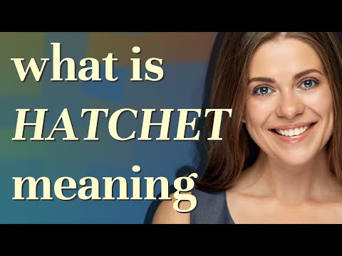 Hatchet | meaning of Hatchet
